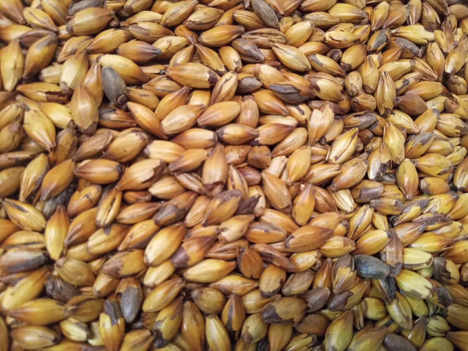 Dingemans Special B malt – Granarium Brewing Supplies