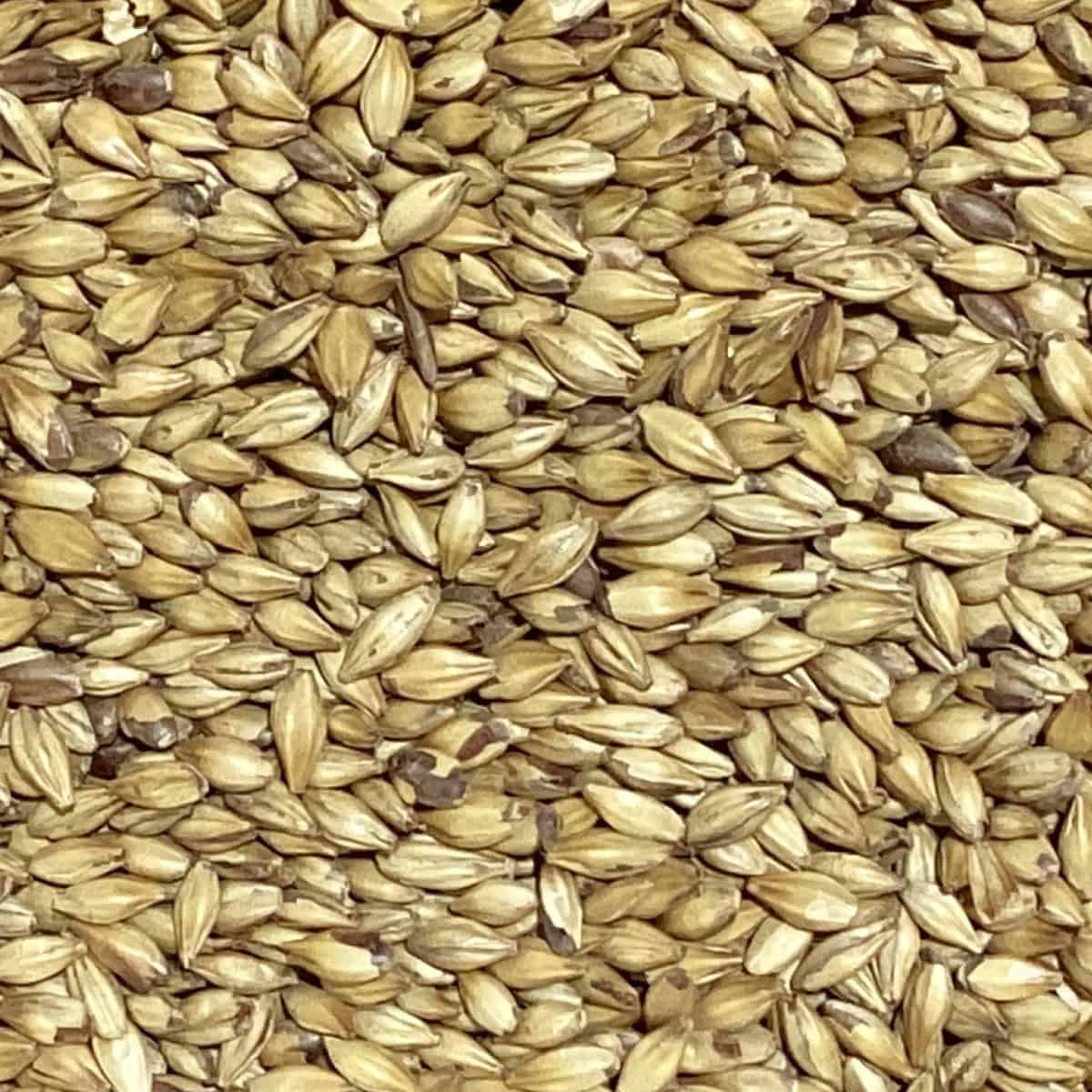 Gladfield Light Crystal Malt – Granarium Brewing Supplies