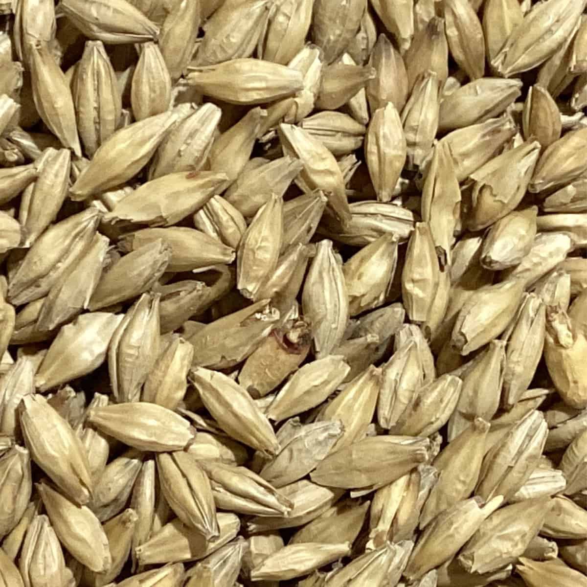 Gladfield Vienna malt – Granarium Brewing Supplies