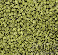 Riwaka (D-Saaz) Hops Pellets 100gm – Granarium Brewing Supplies